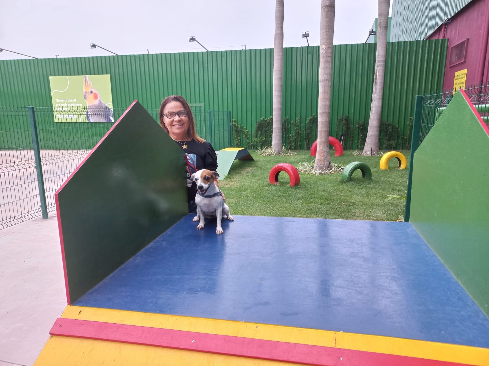 FIQUE ATENTO AOS SINAIS DE ALERTA, PODE ESTAR NA HORA DE LEVAR SEU PET ...